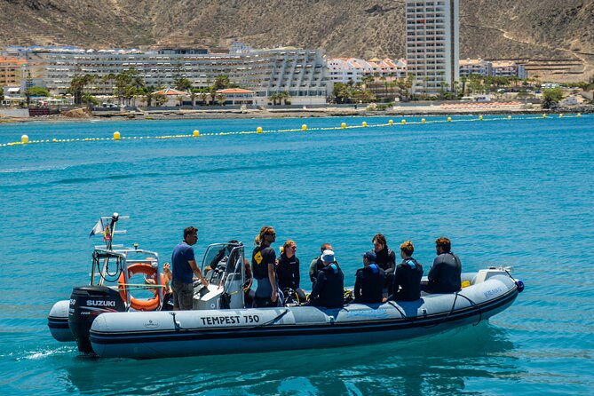 PADI Open Water Course in Playa De Las Americas - Dive Site Locations