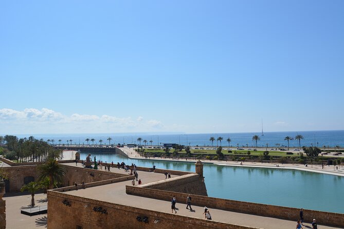 Palma De Mallorca Shore Excursion Bike Tour (Transfer Included) - Cancellation and Booking