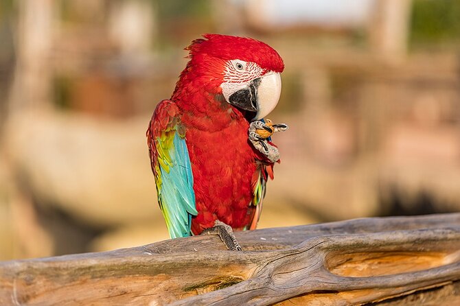 Parrot World Immersive Wildlife Park Entry Ticket Next to Paris - Facilities and Amenities for Visitors