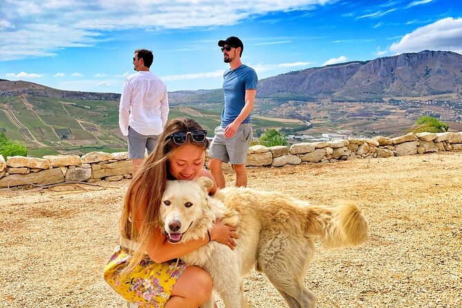 Picnic in an Organic Winery in Alcamo - Booking Process and Options