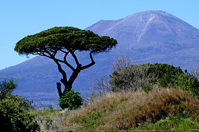 POMPEI Half Day TOUR - Departure From NAPLES Centre (Ticket INCLUDED) - Meeting Points and Pick-Up Logistics