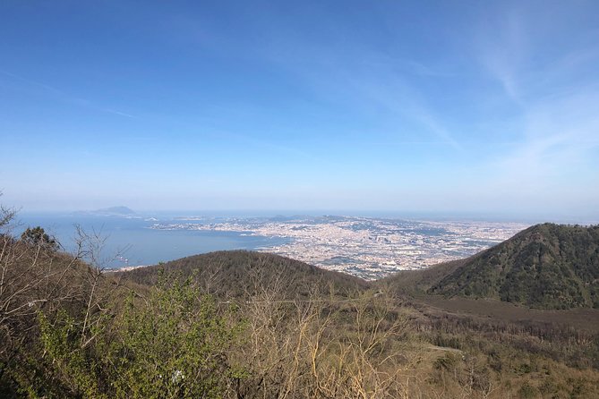 Pompeii-Herculaneum-Vesuvius Tour From Sorrento With Licensed Guide Included - Important Information for Tour Participants