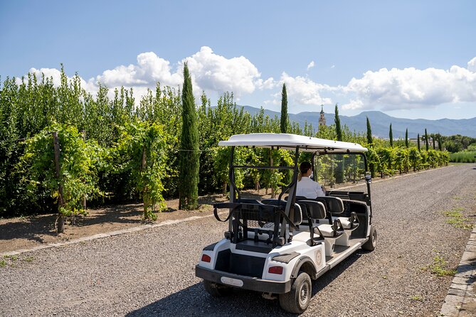 Pompeii Ruins Private Tour Review - Accessibility and Additional Information