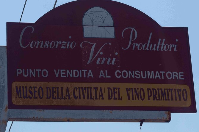 Primitivo and Negroamaro Wine Tour: a Visit to Two Wineries and Typical Lunch. From Lecce - The Vineyard Experience: Two Winery Visits