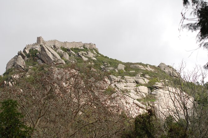 Private 1 Hour and Half Sintra Guided Tour - Accessibility Features