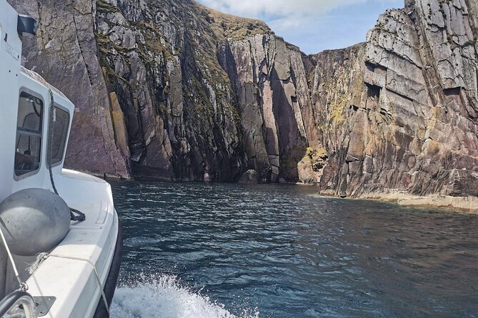 Private 1-Hour Guided Boat Tour in Dingle Peninsula - Accessibility and Participation