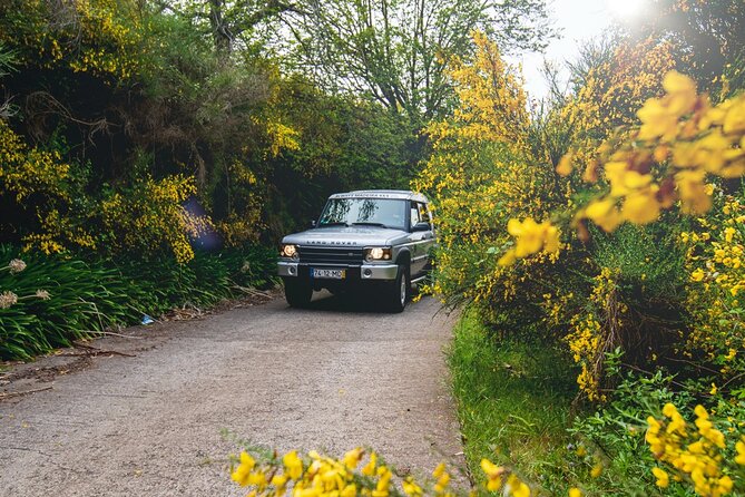 Private 4x4 Jeep Half Day - Picturesque Peaks, Vineyards, Skywalk - Adventure to the Skywalk