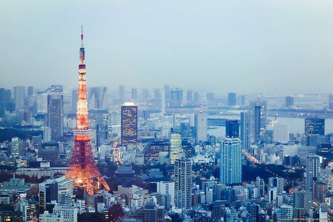Private Airport Depature Transfer Tokyo to Narita Airport(NRT) - Pickup and Drop-off