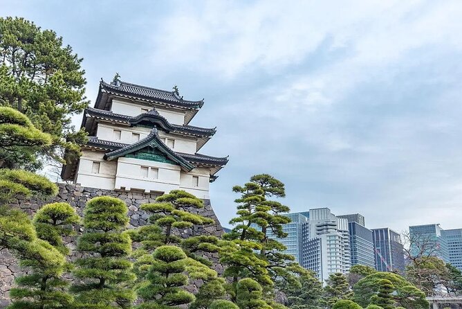 Private Customizable Tour in Tokyo - Accessibility and Participation