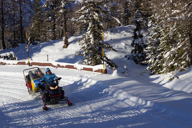 Private Dolomites Winter Day Tour From Venice - Dolomites Winter Landscapes