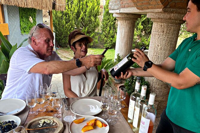Private Ephesus Tour & Wine Tasting & Mediterranean Lunch - Customer Feedback