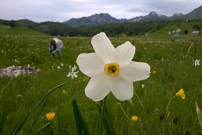 Private Full-Day Tour in Moraca and Tara Canyons, Durmitor & Biogradska Gora NP - Discovering Durmitor National Park