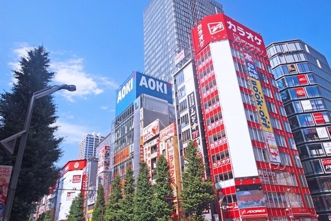 Private Full-Day Tour of Tokyo With Hotel Pickup - Accessibility and Participation