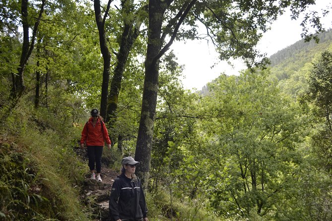 Private Geres National Park Tour - Pickup and Meeting Information