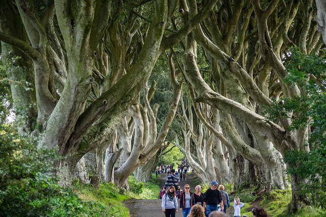Private Giants Causeway Tour From Belfast - Pickup and Return