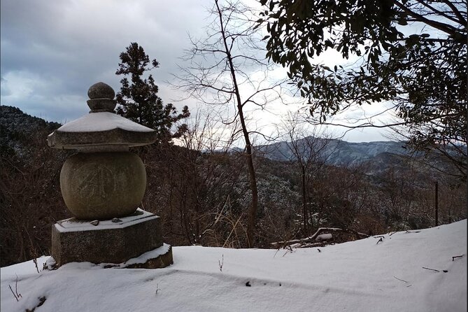 Private Guided Half-Day Walking Tour in Yoshinoyama - Inclusions and Costs