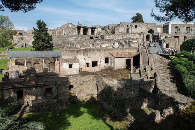 Private Guided Tour Of Capri - Sorrento & Pompeii - Customer Reviews and Feedback