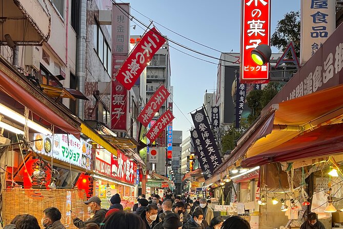 Private Half-Day Tour Colorful and Busy Street in Central Tokyo - Accessibility and Participation