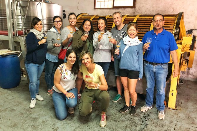 Private Half-Day Wine Tour Near Madrid - Rated Unique and Personalized - Transportation