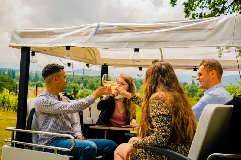 Private Highlights Top Places Tour Electric TukTuk 1h15 - Tailor-made Itinerary