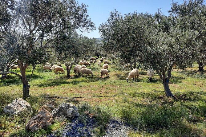 PRIVATE Jeep Safari 4x4 SUNSET With Dinner in Mountains CRETE - Unforgettable Sunset Views