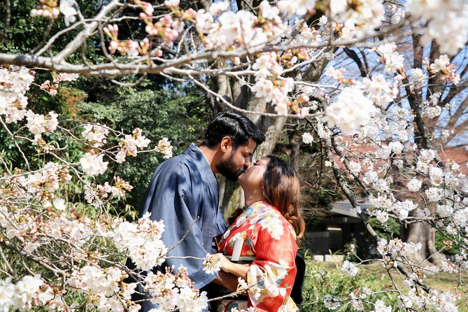 Private Kimono Photo Tour in Tokyo - Accessibility and Participation Guidelines