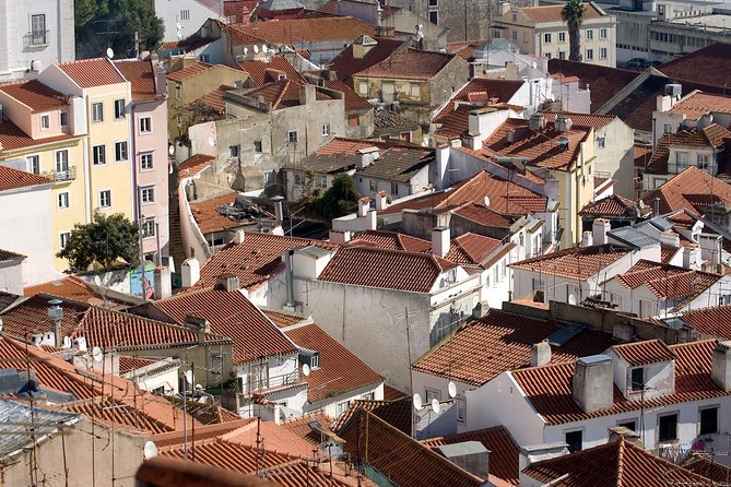 Private Lisbon Tour With Premium Portuguese Wine and Tapas Tasting - Savoring Local Delicacies