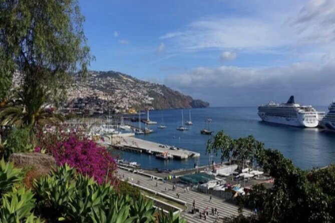 Private: Maderia Island Tour & Famous Monte Toboggan Ride - The Iconic Monte Toboggan Run