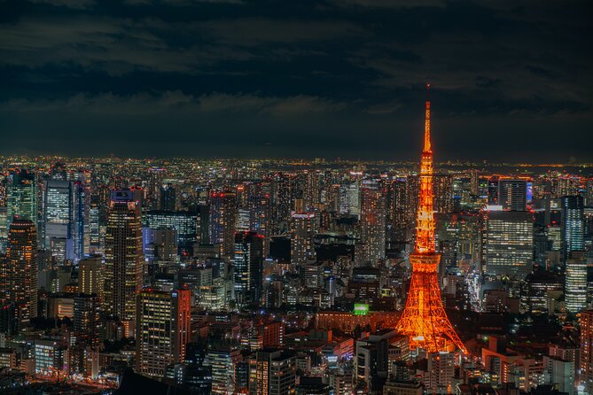 Private Memorable Tokyo Tour With English Speaking Driver - Positive Reviews and Feedback