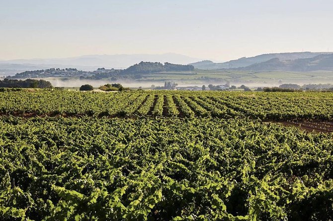 Private Montserrat Tour, Organic Winery & Authentic Local Lunch - Meeting the Guides: Who Will Be Leading Your Tour?