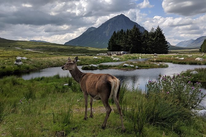 Private One Day Highlands Tour of Scotland - Customizable Itineraries for Group Preferences