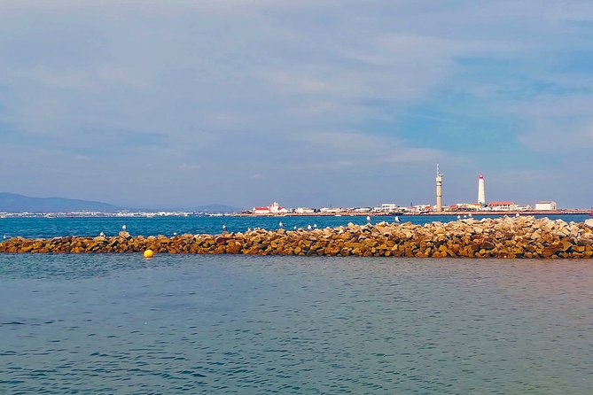 Private Sightseeing Boat Tour in Ria Formosa at Olhão - Meeting and Pickup