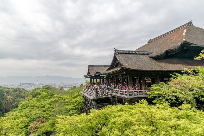 Private Sightseeing Tour Visit in Kyoto With Transfer Included - Tour Experience and Expectations