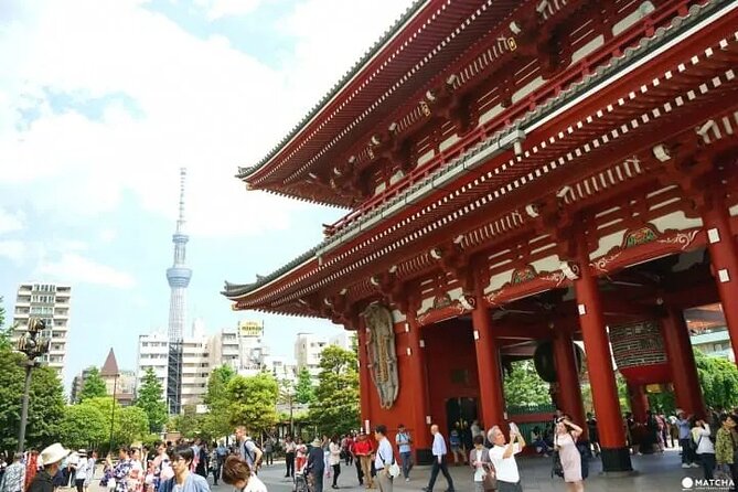 Private Tour by Car in Tokyo - Tour Customization