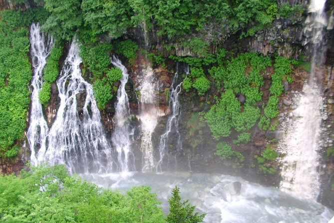 Private Tour: Full-Day Walking Tour With Professional Local Guide in Yakushima Island - Tour Details