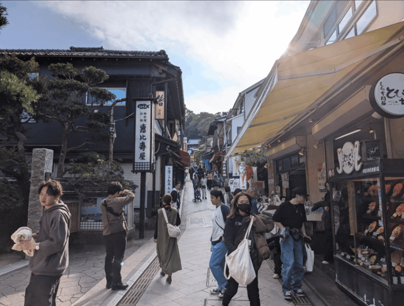 Private Tour Kamakura and Enoshima W/ Spanish Speaking Guide - Transportation Details