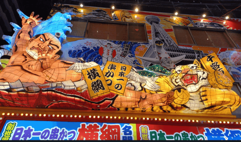 Private Tour of Osaka With A Spanish-Speaking Guide - Tour Inclusions