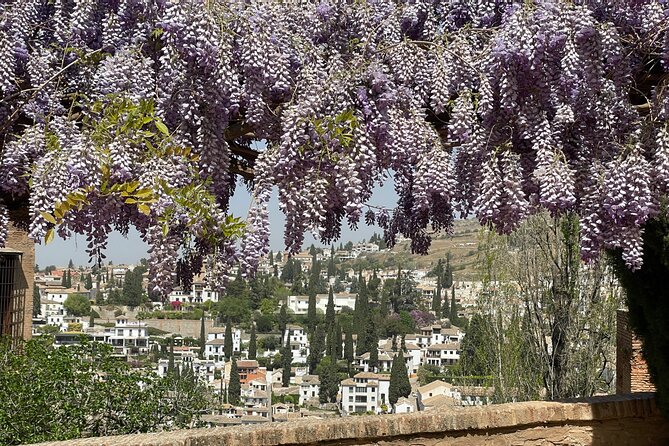 Private Tour of the Alhambra Review - Pricing and Booking Information