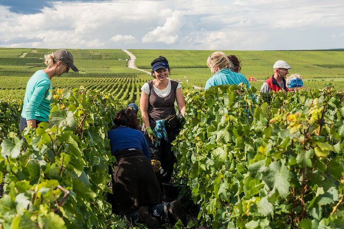 Private Tour of the Champagne Area, Meet Local Producers and Taste Their Champagne, Start From Your Hotel in Paris. - Customer Feedback and Experiences
