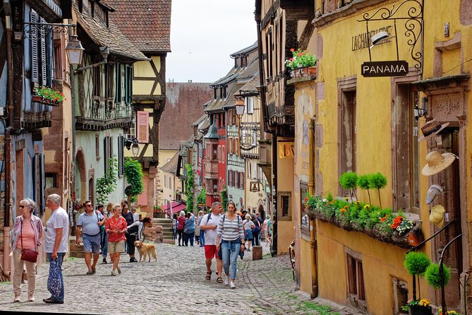Private Tour: Picturesque Alsatian Villages & Wine Tasting With a Local Expert - Inclusions and Pickup Information