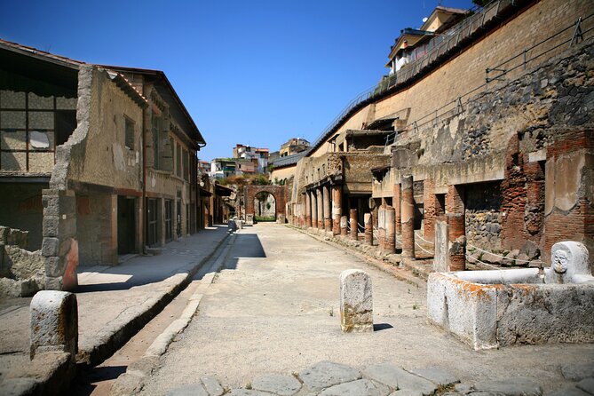 Private Tour: Pompeii Plus Herculaneum With Family Tour Option - Tour Requirements and Accessibility