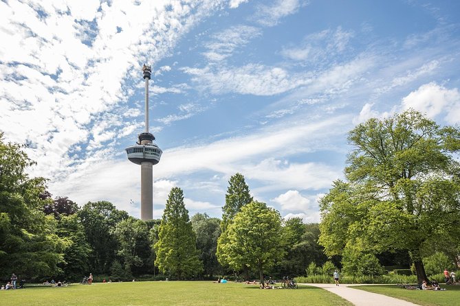 Private Tour: Rotterdam Walking Tour Including Harbor Cruise - Exploring Museumpark