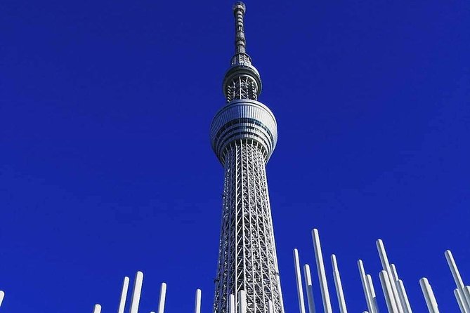 Private Tour Tokyo - the Harmony of Modernity and Tradition - Experiencing Japanese Culinary Delights