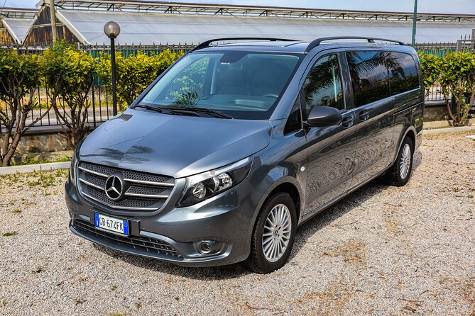 Private Transfer From Positano to Naples Review - Booking Information