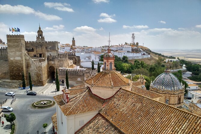 Private Visit to Carmona and Its Main Monuments - Highlights of the Private Visit