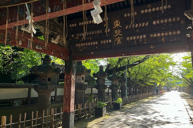 Private Walking Tour in Tokyo With a Local Guide - What to Expect