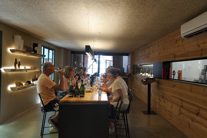 Private Wine & Cava Tasting Tour in Penedés Region With Hotel Pick up - Transportation and Comfort