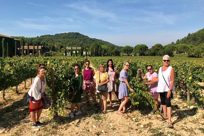Provence Full Day Private Tour With Driver-Guide From Marseille - Traveler Reviews and Experiences