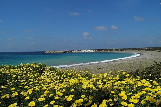 Quad or Buggy Tour From Coral Bay to Lara Bay - Accessibility and Requirements