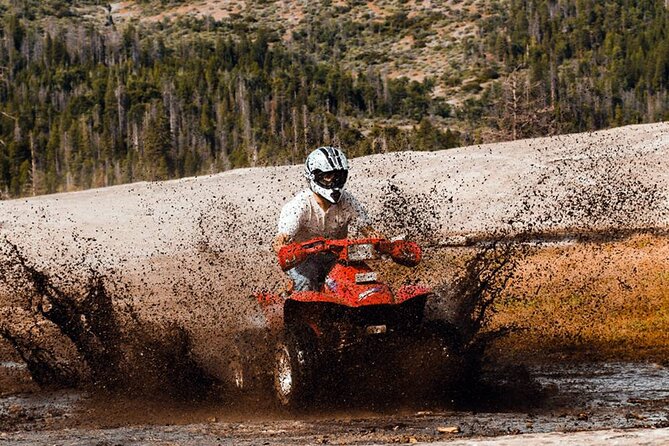 Quad Safari Experience in Alanya (Adventure Tour) W/ Free Hotel Transfer - Customer Feedback and Ratings